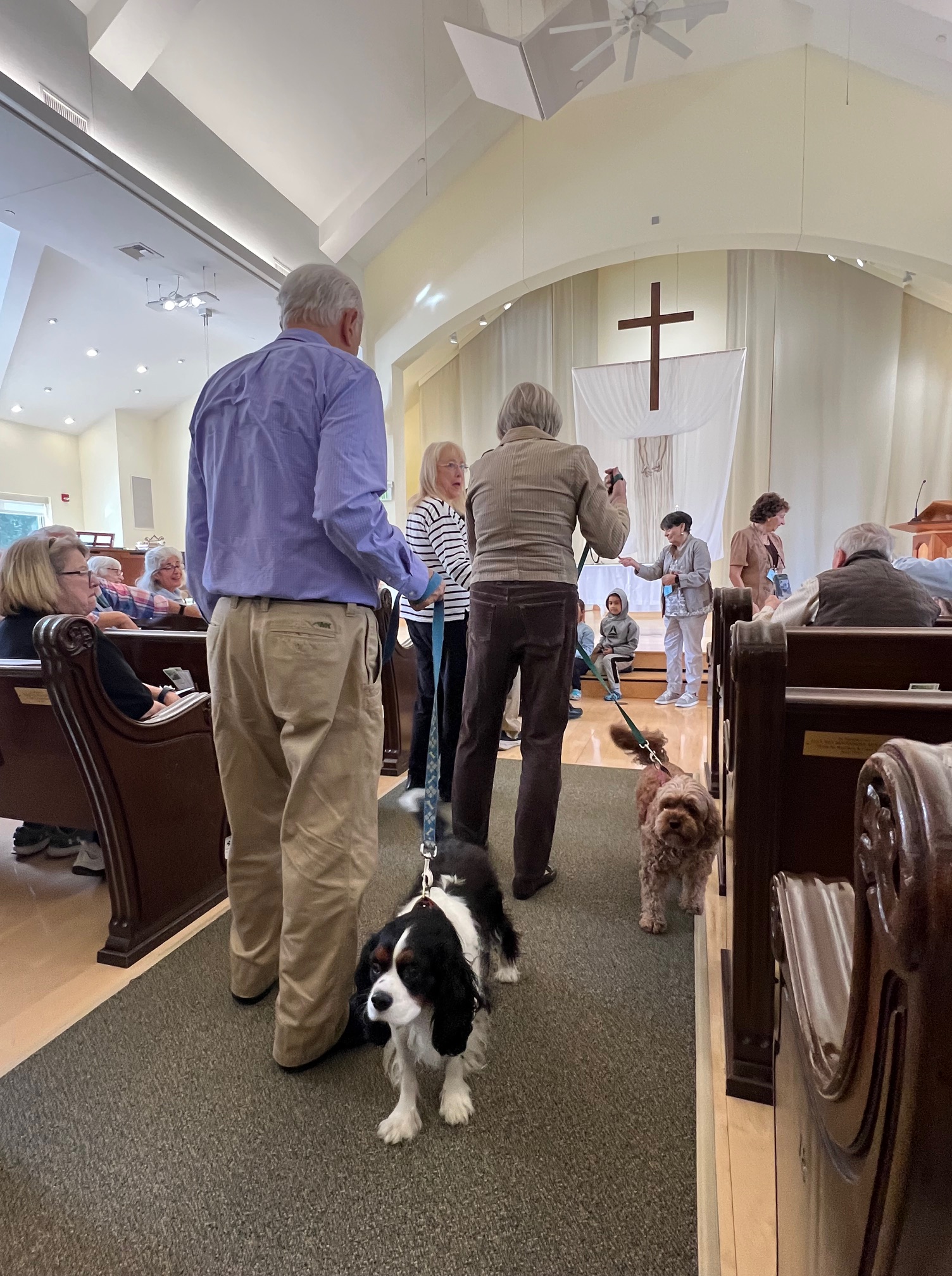 Blessing of the Animals Worship Liturgy . . . – Wandering and Wondering
